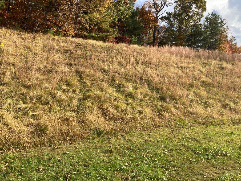Pre-emergent Weed Control: Industrial and Commercial